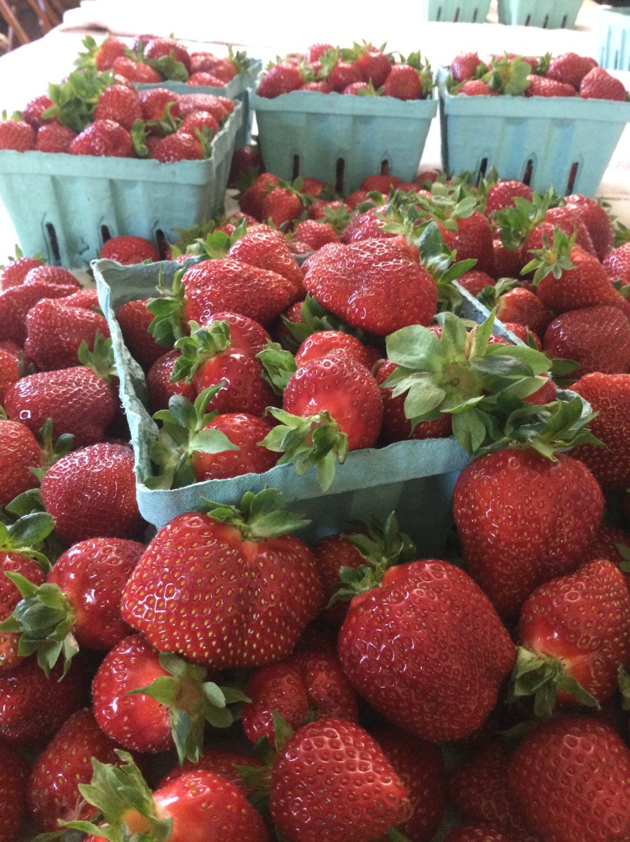 Strawberries are Here! – Glen Run Valley View Farm